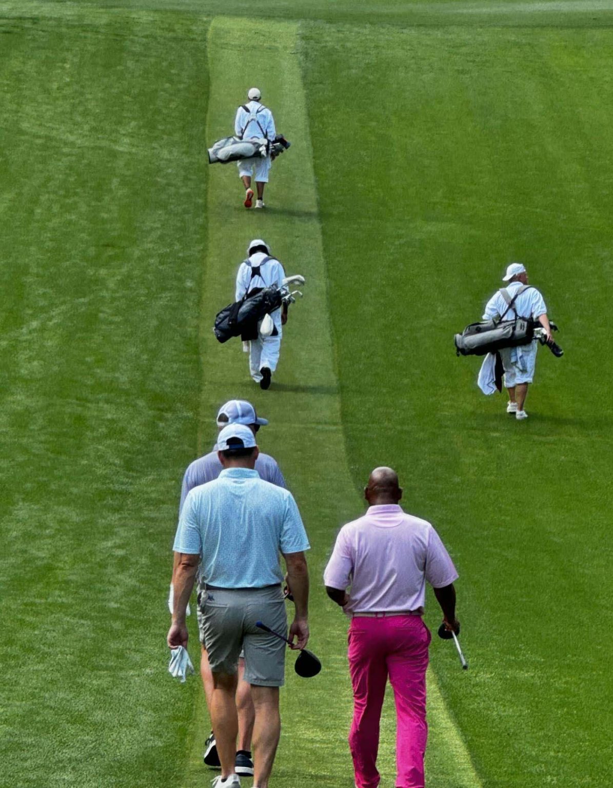 Scandal widens — procurement boss at Hillsborough Schools went to ...